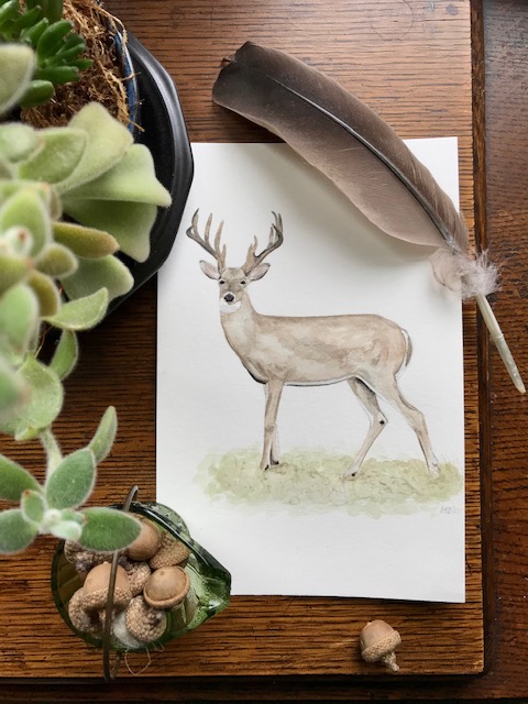 2023 Summer Camps - Chelsea Academy